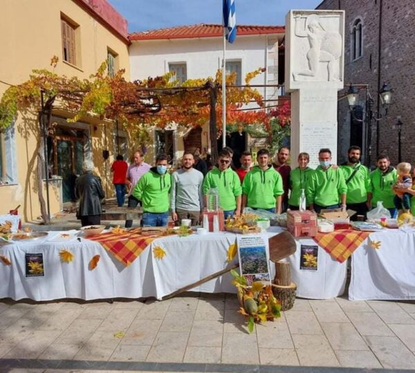 "ΓΙΟΡΤΗ ΤΗΣ ΓΗΣ" - Davillas Tours
